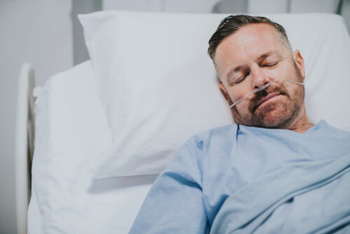 Kava Side Effects And Dangers: Liver Damage, Hangover, Or Dermopathy