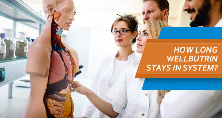 Wellbutrin Half-Life: How Does Bupropion Work in the Human Body?