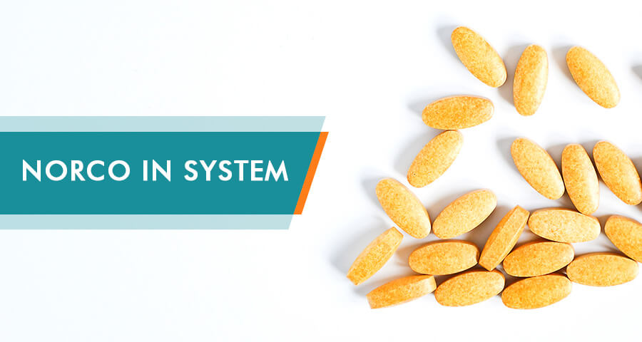 How Long Does Norco Stay in The System, Blood, Urine?