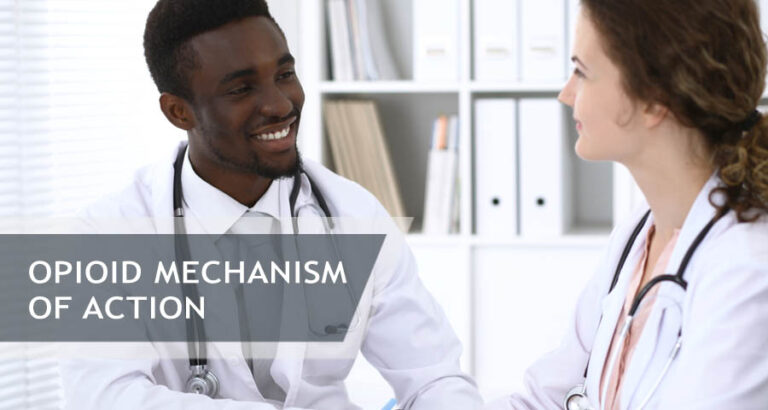 Opioid Mechanism Of Action: How Do Opioids Work In Body System?