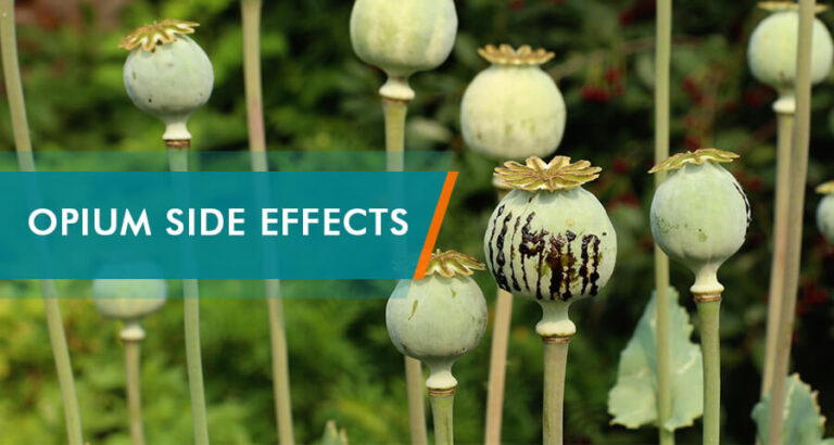 Opium Effects: Short and Long-Term Impact on the Human Body