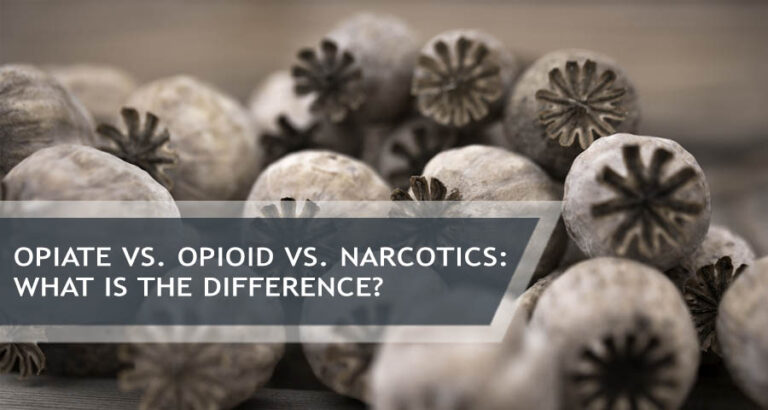 Opioid Vs Opiate: What Are Their Differences?