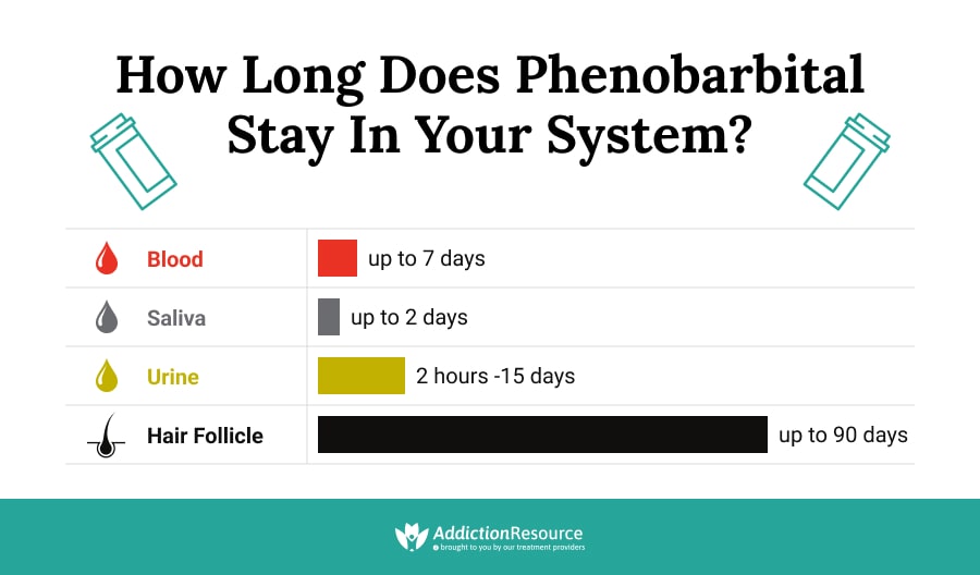 How Long Does Phenobarbital Stay In Your System And Its Half Life